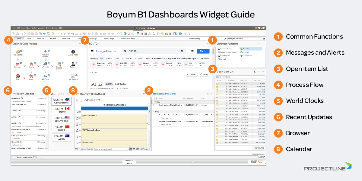 SAP Business One Dashboard Options