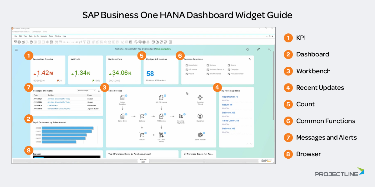 SAP Business One Dashboard Options